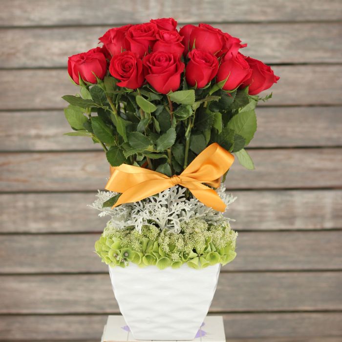 Red Classic - 24 rosas rojas a domicilio Puebla